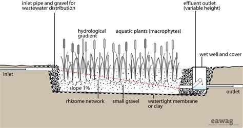 Horizontal Subsurface Flow Constructed Wetland Akvopedia