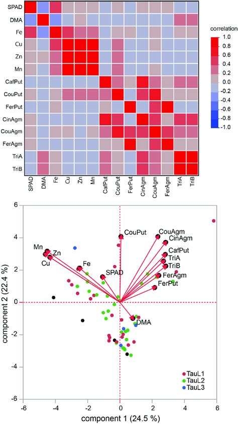 A Multivariate Analysis And B Principal Component Analysis Of Download Scientific Diagram