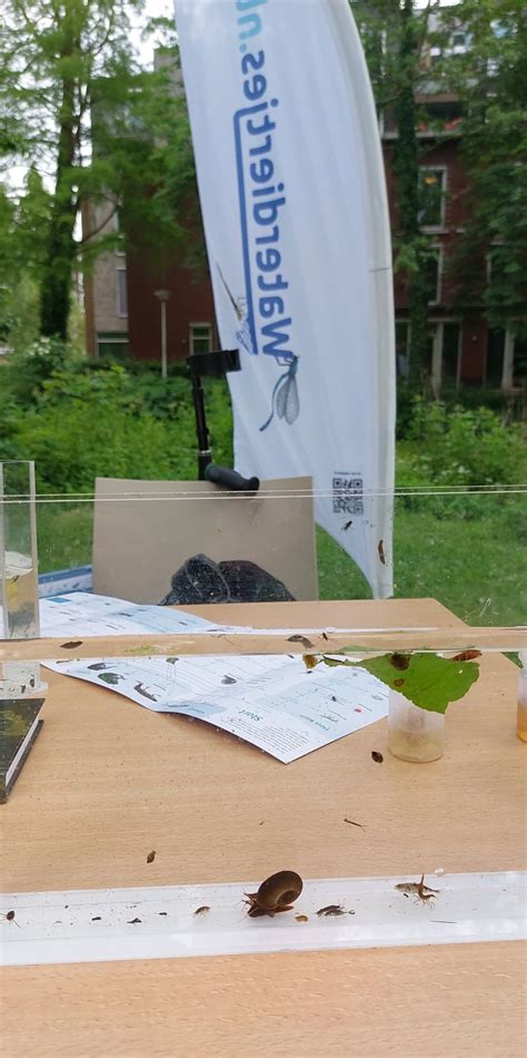 Biodiversitychallenge Edwin Peeters