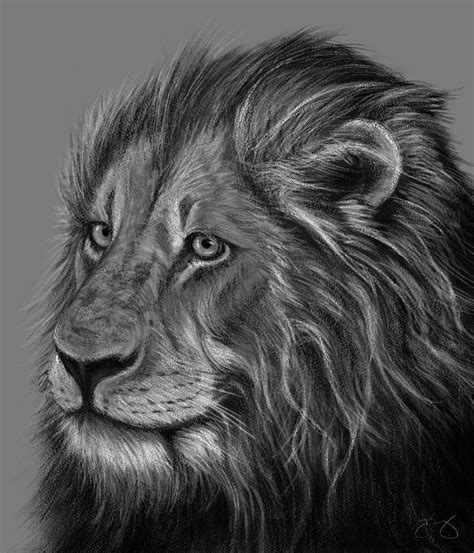 Kenny Almendral Brown Lion