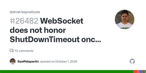 Websocket Does Not Honor Shutdowntimeout Once Sigtermctrlc Is Issued