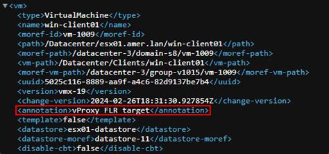 nvp vproxy vm does not appear as a target in the flr web client dell us
