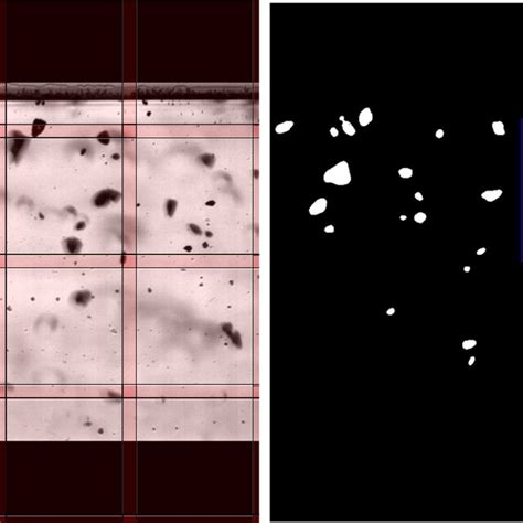 Detection Process For Wall Collisions Images Shown From Left To Right Download Scientific