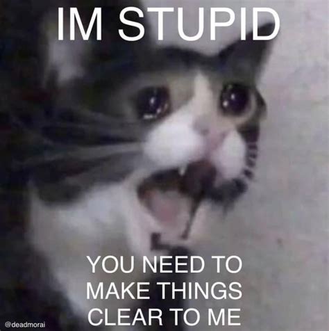 This Is How I Feel After Not Being Properly Trained And Getting Written Up Bc Of It Rogpbackroom