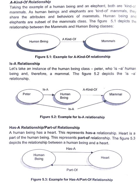 Solution Object Oriented Programming Java Inheritance Package And