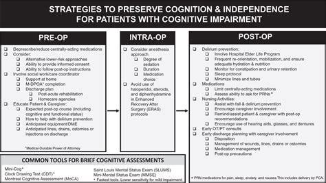 Preoperative Cognitive Evaluations An Opportunity To Protec