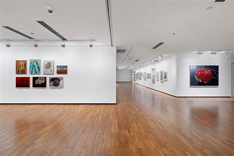 赵刚天下无事 龙美术馆 Long Museum
