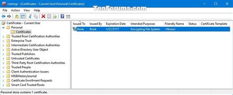 Encrypting File System