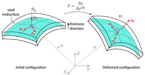 Schematic Drawing Illustrating The Basis Vectors In The Initial And Download Scientific Diagram