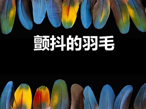 颤抖的羽毛PPT课件 PPT课件下载 人人PPT
