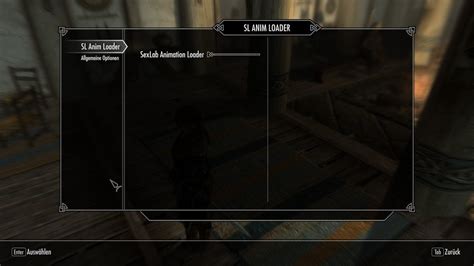 Slanimloader Wont Register Animation Packs Technical Support Sexlab Framework Loverslab