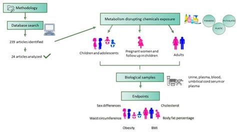 Nutrients Free Full Text Sex And Gender Differences On The Impact Of Metabolism Disrupting