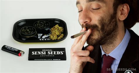 Wie Macht Man Hasch Dry Sift Charas Und Bubble Hash Sensi Seeds