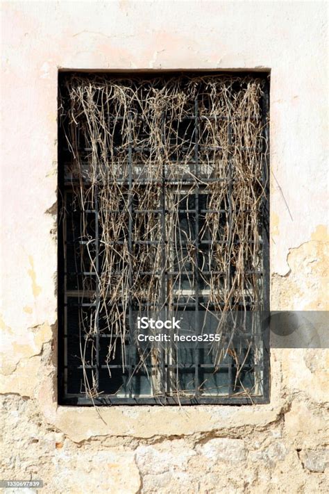 낡은 벽에 장착된 드라이 크롤러 식물로 자란 강력한 금속 막대 보호 기능이 있는 나무 프레임 창 0명에 대한 스톡 사진 및 기타 이미지 Istock