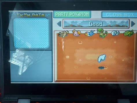 Post Flannery Deaths Last 3 All Died To Flannery R Nuzlocke