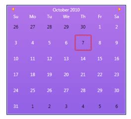 About Wpf Skinstorage Control Syncfusion