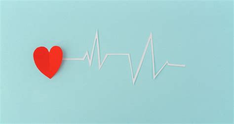 What Your Heart Rate Can Tell Us And You About Your Health