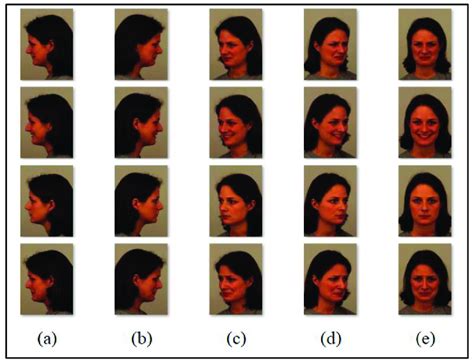 samples of kdef dataset with different facial expressions from
