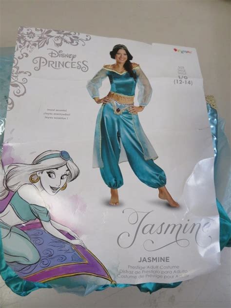Princess Jasmine Adult Costume