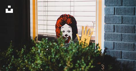 낮에는 녹색 식물 옆에 서 있는 흑백 긴팔 셔츠를 입은 갈색 머리 여자 사진 Unsplash의 무료 흔들며 이미지