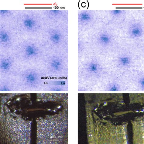 Magnetic Field Measurement Using Abrikosov Vortex Lattices In Nbse 2 Download Scientific