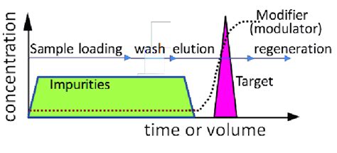 Stepwise Elution Bind Elute Chromatography Download Scientific Diagram