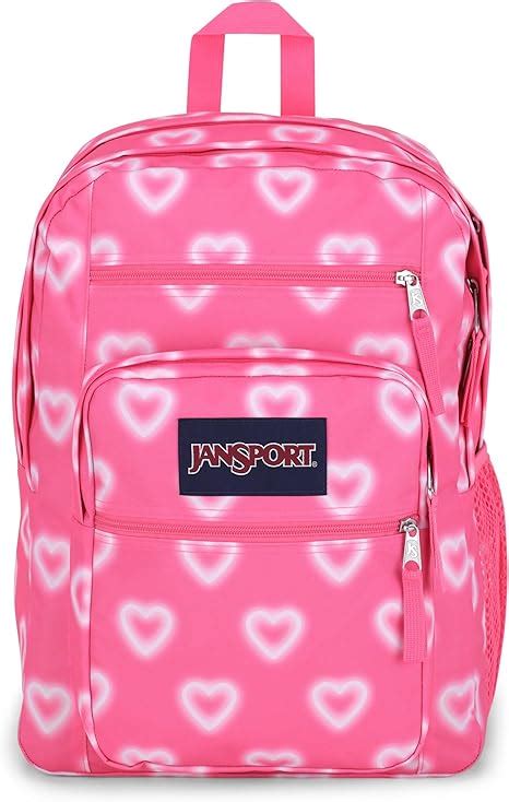 Jansport Laptop Backpack Computer Bag With 2 Compartments