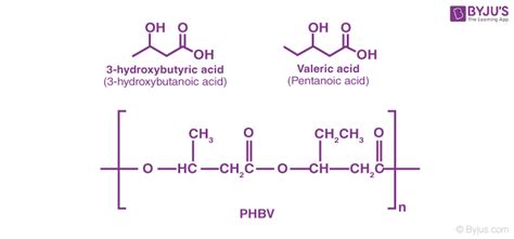 Biodegradable Polymer And Non Biodegradable Polymers