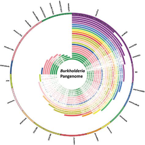 Figure 1 From Pathogen Comparative Genomics In The Next Generation Sequencing Era Genome