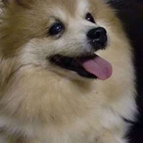 Stream Wai Wan Ng Music Listen To Songs Albums Playlists For Free On Soundcloud