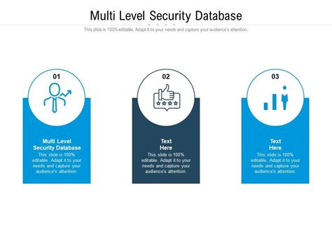 Multi Level Security Database Ppt Powerpoint Presentation File Template