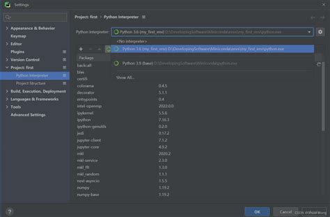 使用创建的虚拟环境运行代码打开环境代码 Csdn博客