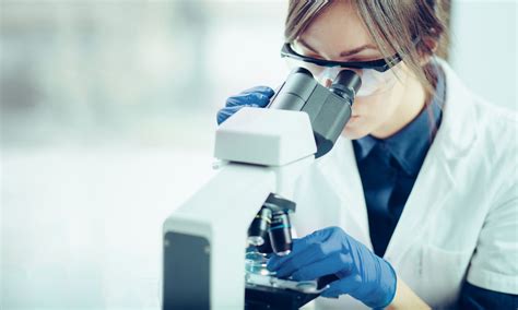 How To Become A Scientist Discover Magazine