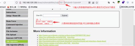 Dvwa Sql注入sql Injection低中高级别dvwa Sql注入低中高代码分析 Csdn博客