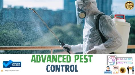 Online Advanced Pest Control Training Course Uk