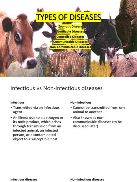 Types Of Diseases Pdf Infection Pathogen