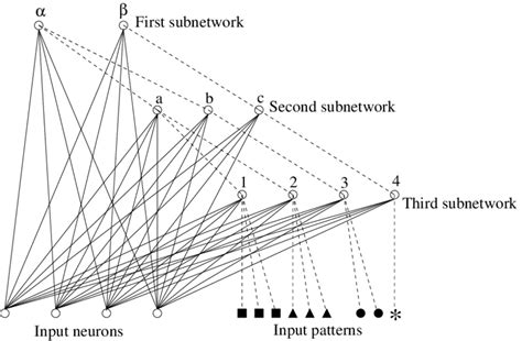 structure of the self organizing neural networks download scientific