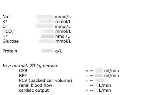Diagram Of Proximal Tubule Function Quizlet