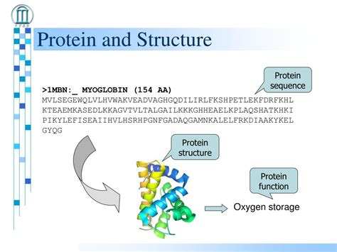 Ppt Protein Structure Prediction Powerpoint Presentation