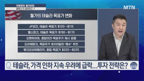 이항영의 월가이드 테슬라 가격 인하 지속 우려에 급락투자 전략은