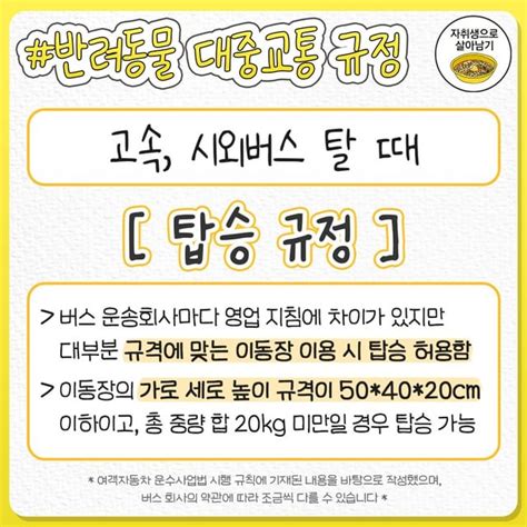 대중교통 종류별 반려동물 동반 탑승규정 총정리 인스티즈 instiz 이슈 카테고리