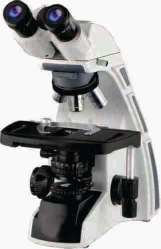 Research Binocular Microscope Model Select At 61500 00 Inr In Ambala Cantt B L Scientific