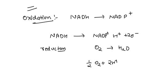 Solved Calculate The Biochemical Standard Cell Potential For The