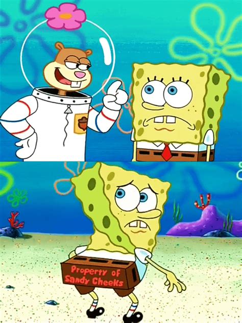 Careful Spongebob R Perfectlycutscreams