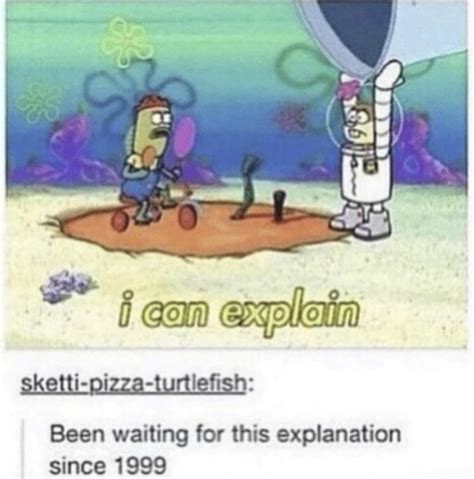 1001 Best R Spongebobmemes Images On Pholder Hell Yah