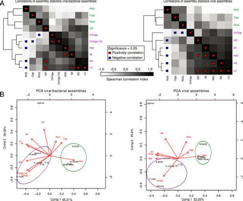 Correlation Analysis From Assemblies Hierarchical Clustering Given By
