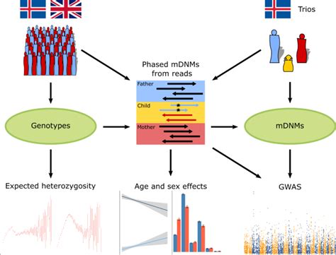 Sequence Variants Affecting The Genome Wide Rate Of Germline Microsatellite Mutationsnature