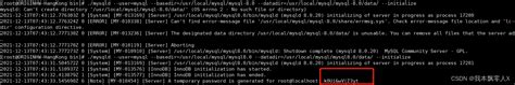 实践：linux下安装mysql80mysql8 Basedir Csdn博客