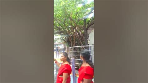 திருவோடு மரம் Youtube