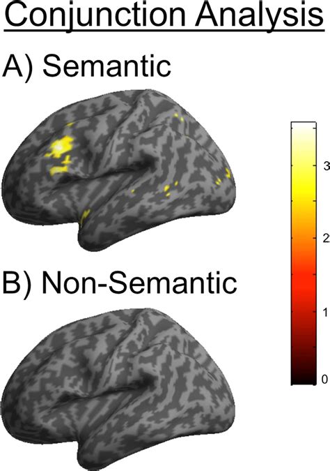 Inflated Brain Activations Of Conjunction Analysis For Phase 1 And Download Scientific Diagram